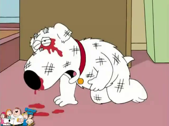 Brian Family Guy Meme