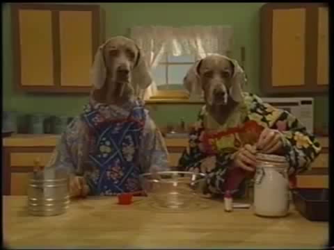 Dogs With Human Hands Sesame Street