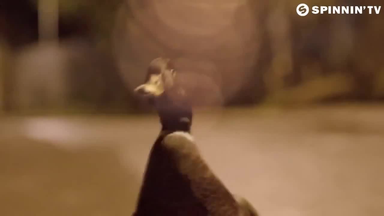 Bingo Players Get Up Rattle