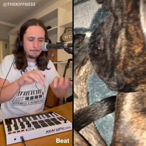 Awolnation Sail Cover