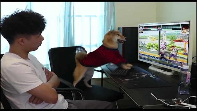 Puppy Playing Video Games