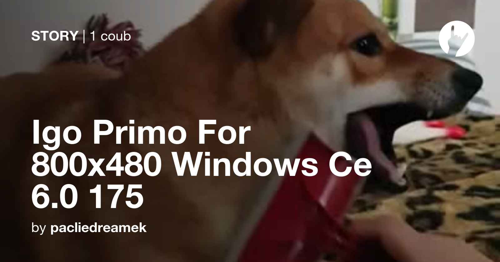 Igo Primo For 800x480 Windows Ce 6.0 175 - Coub