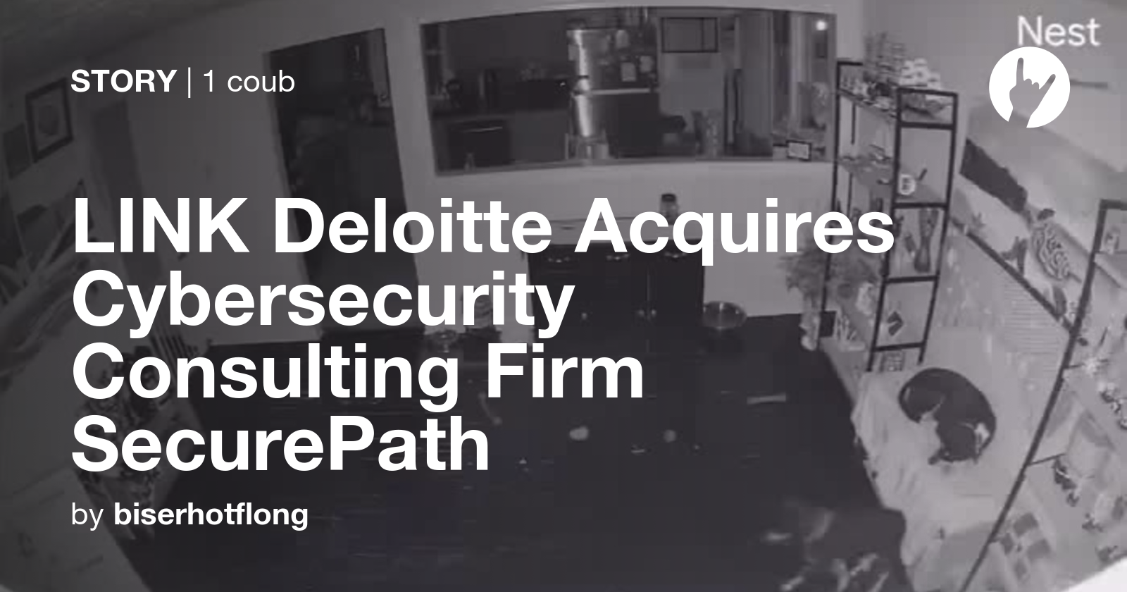 LINK Deloitte Acquires Cybersecurity Consulting Firm SecurePath - Coub LINK Deloitte Acquires Cybersecurity Consulting Firm SecurePath - Coub