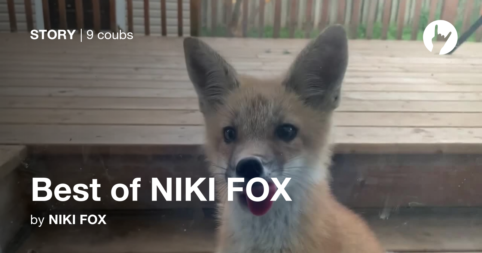 Best of NIKI FOX - Coub